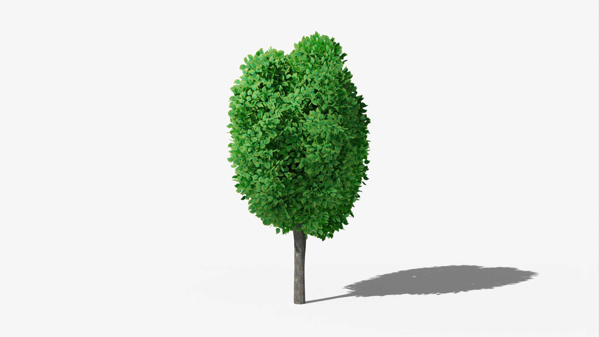 Stylized Cartoon Tree V1 Model - TurboSquid 2082486