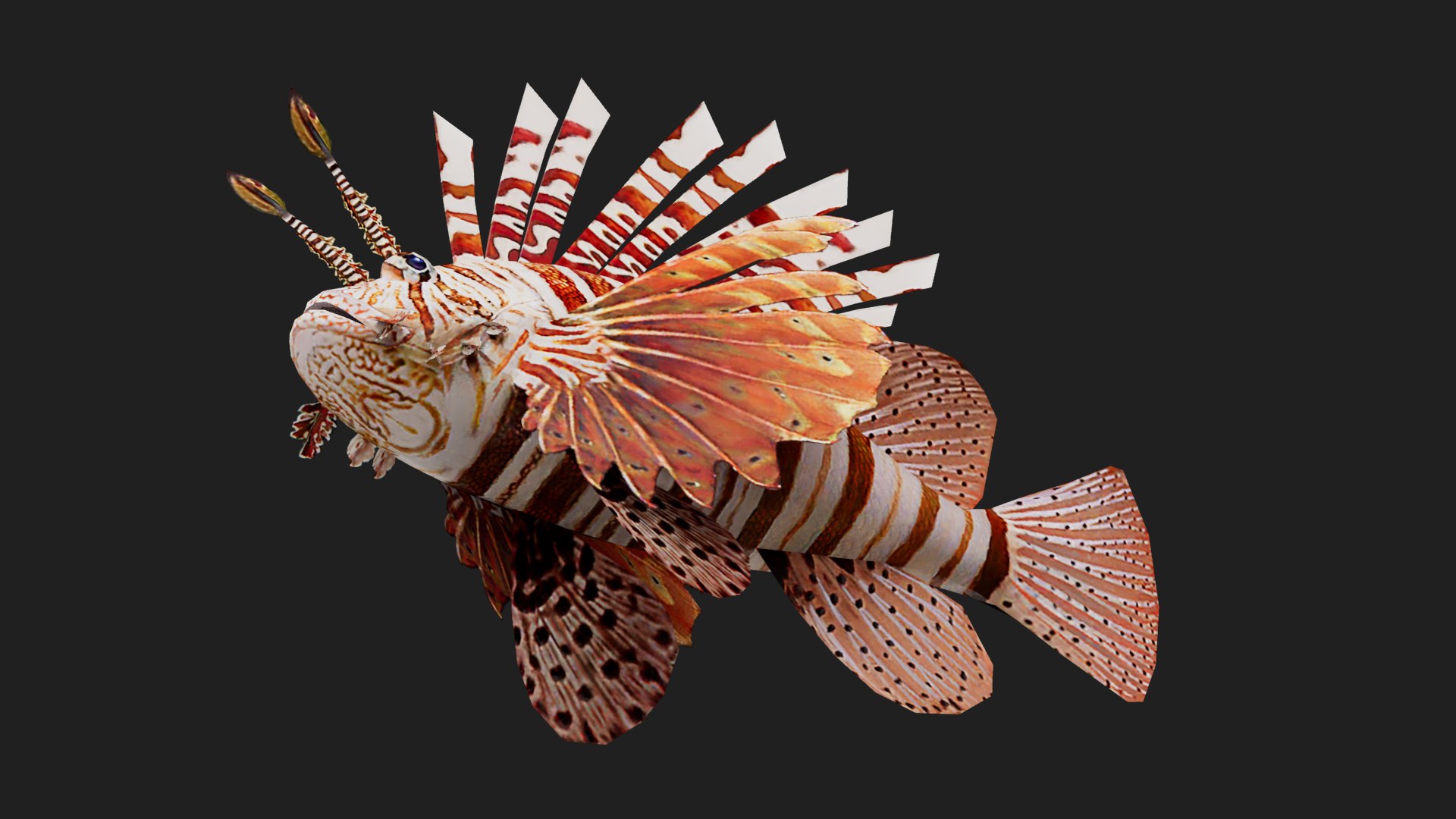 Lionfish 3D Model - TurboSquid 2118874