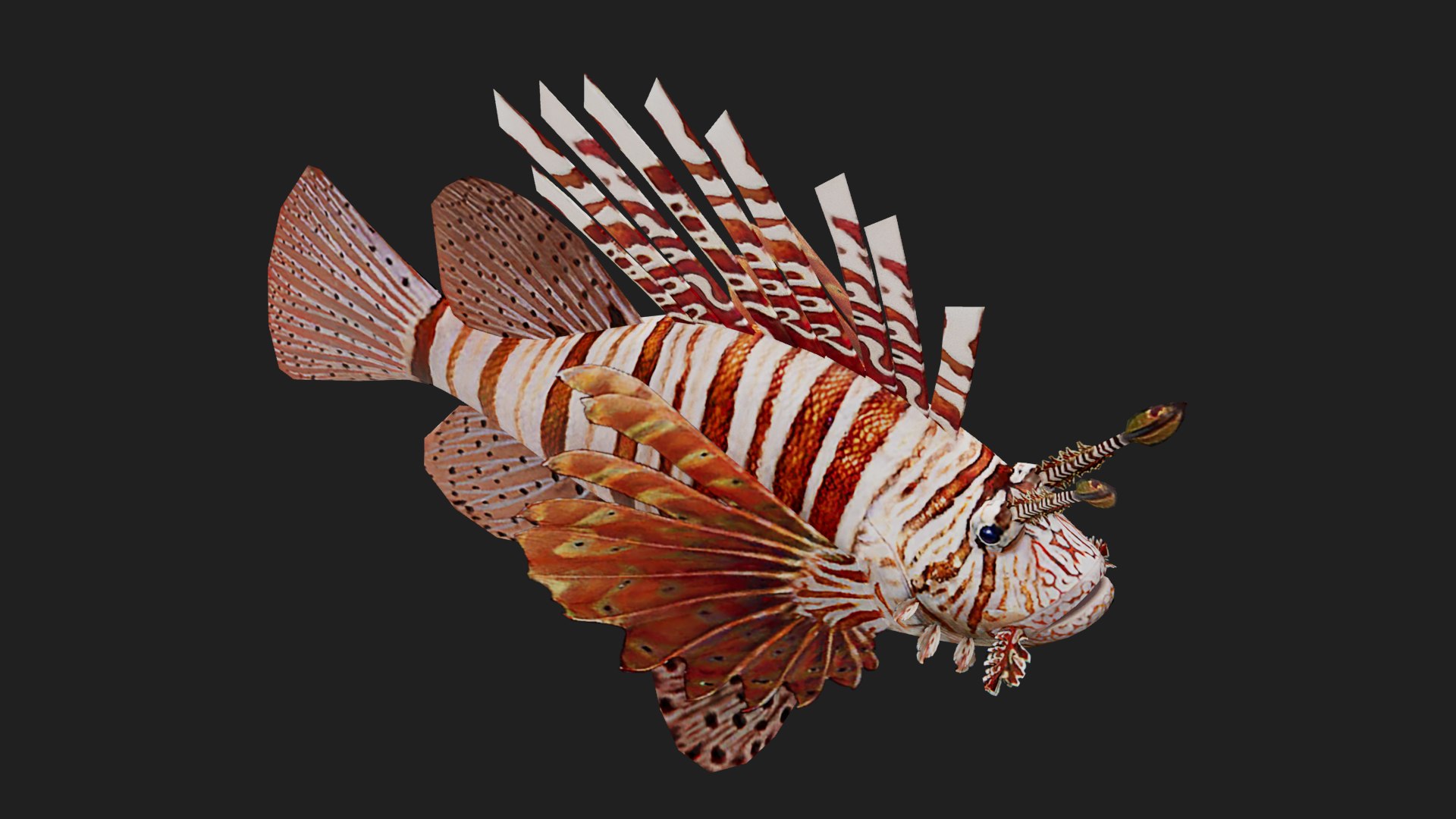 Lionfish 3D Model - TurboSquid 2118874