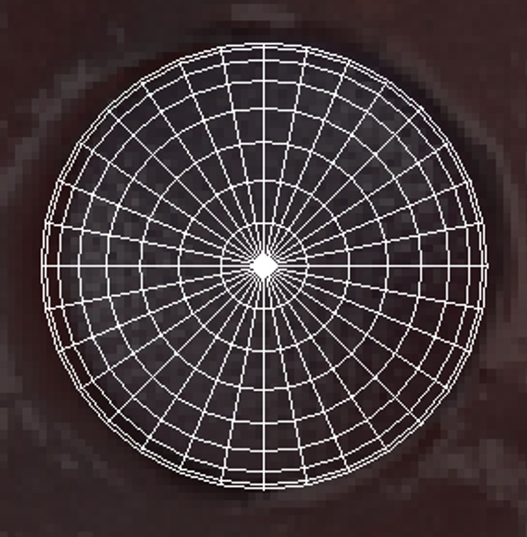 3D Jumping Flea model - TurboSquid 1843714