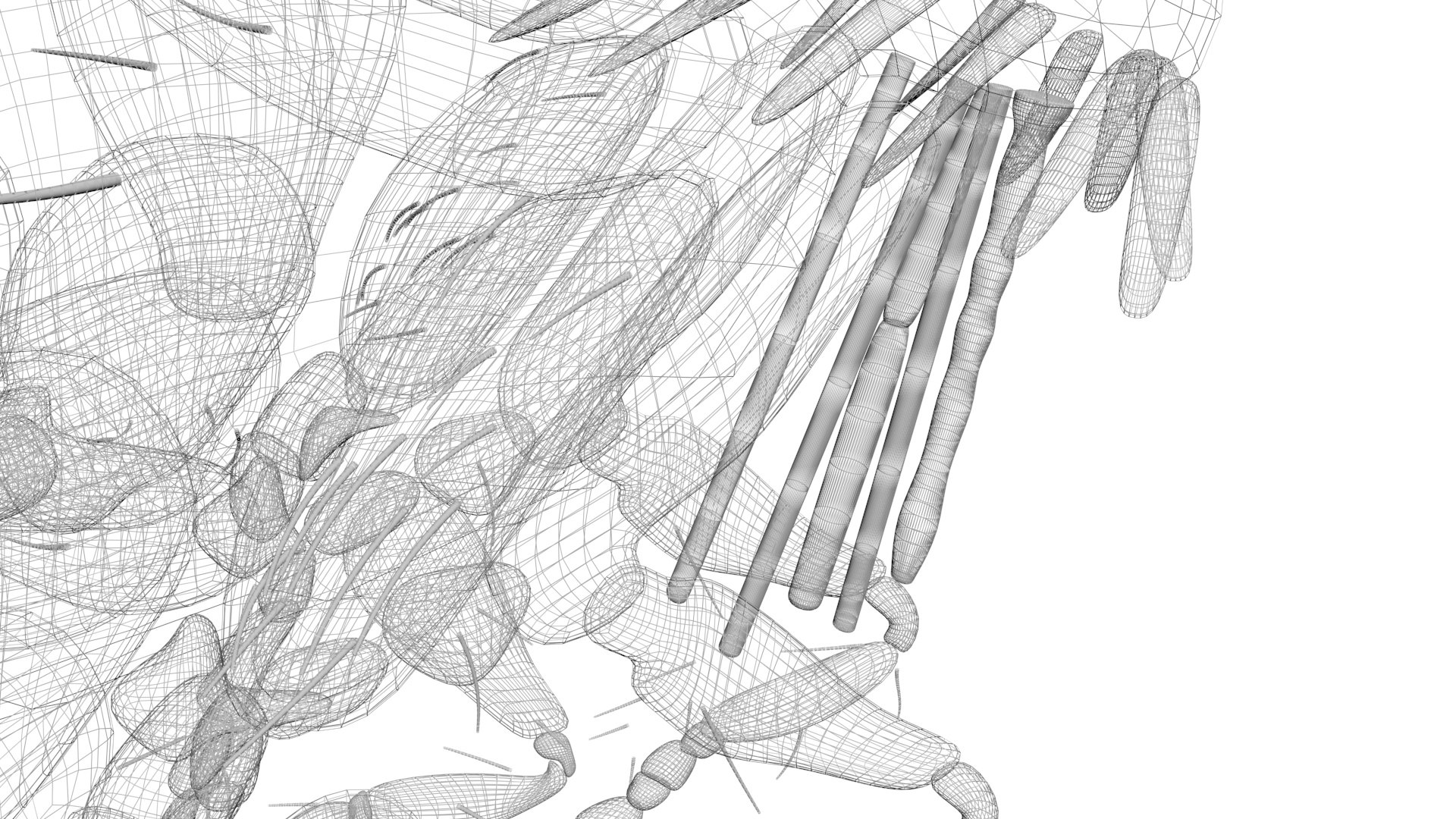 3D Jumping Flea model - TurboSquid 1843714