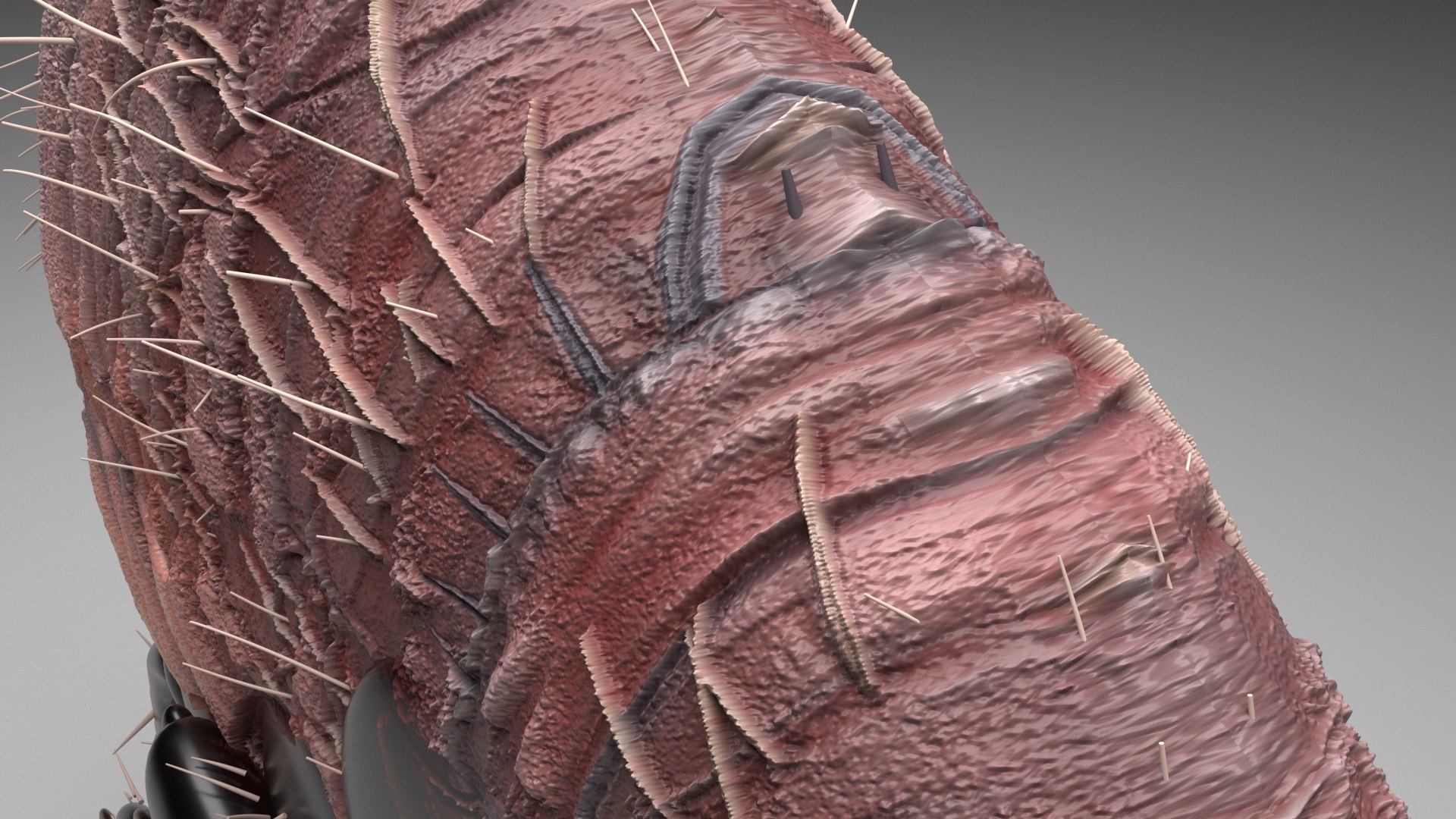 3D Jumping Flea Model - TurboSquid 1843714