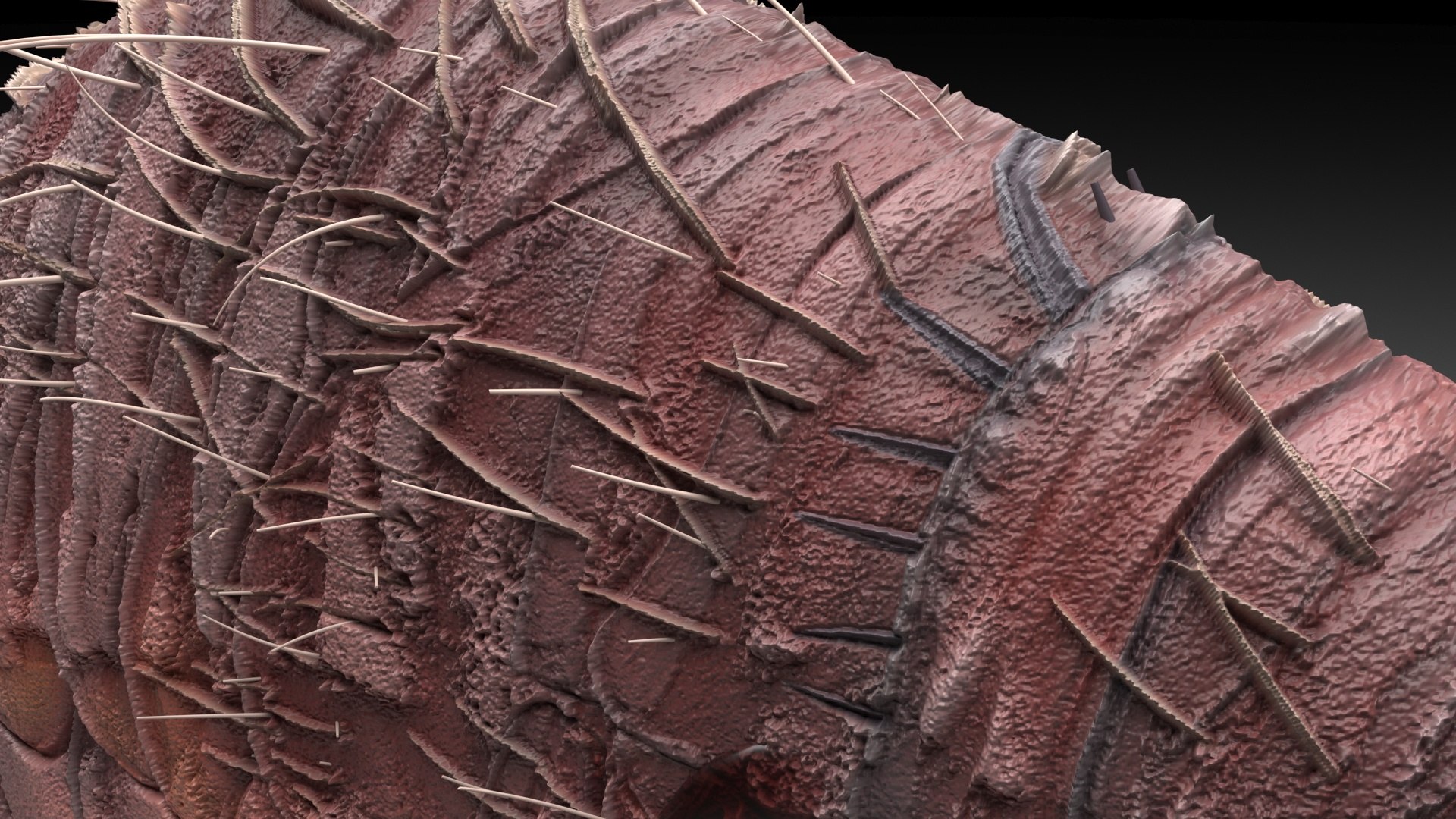 3D Jumping Flea Model - TurboSquid 1843714