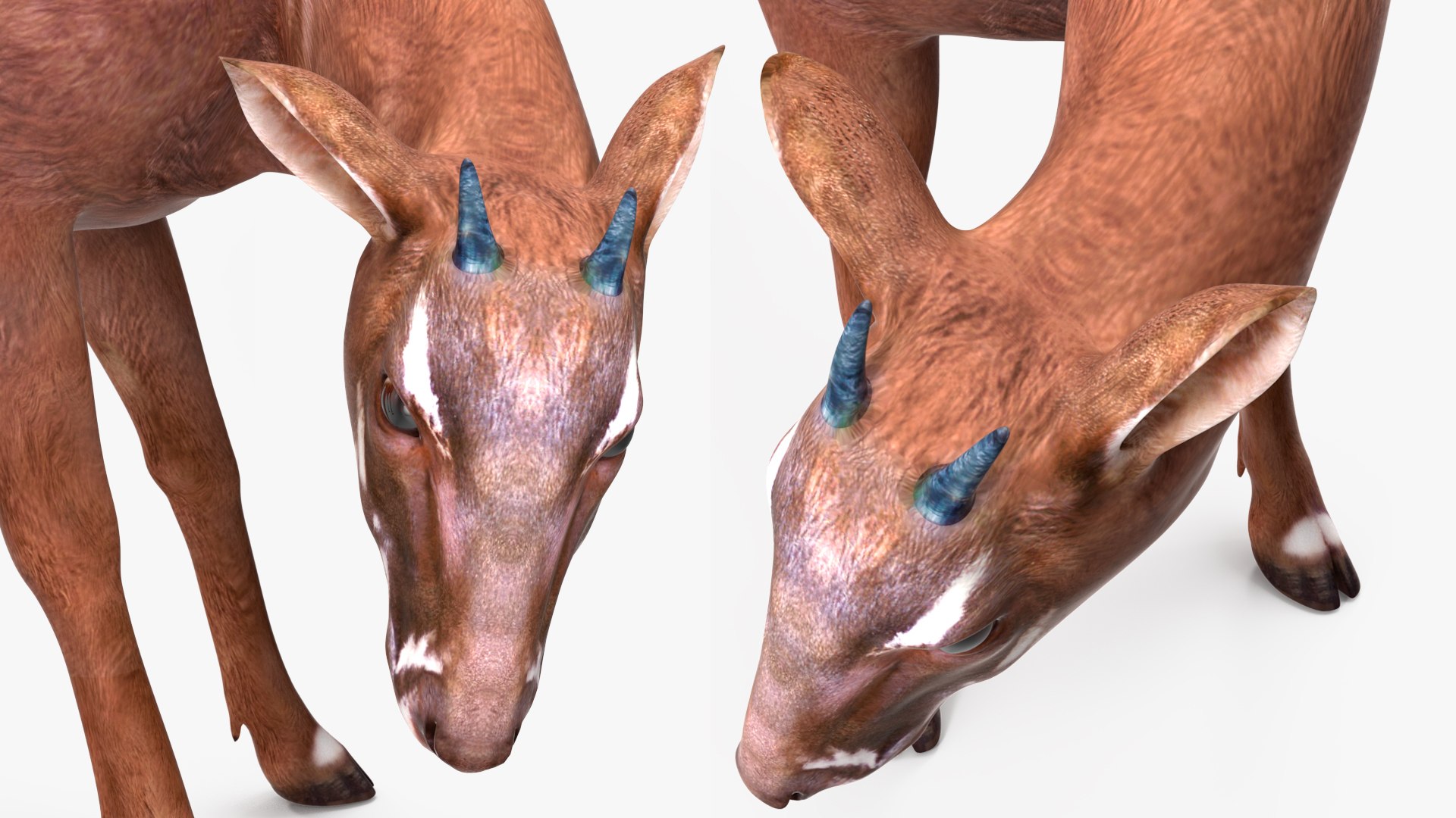 Saola Eating 3D - TurboSquid 2202800