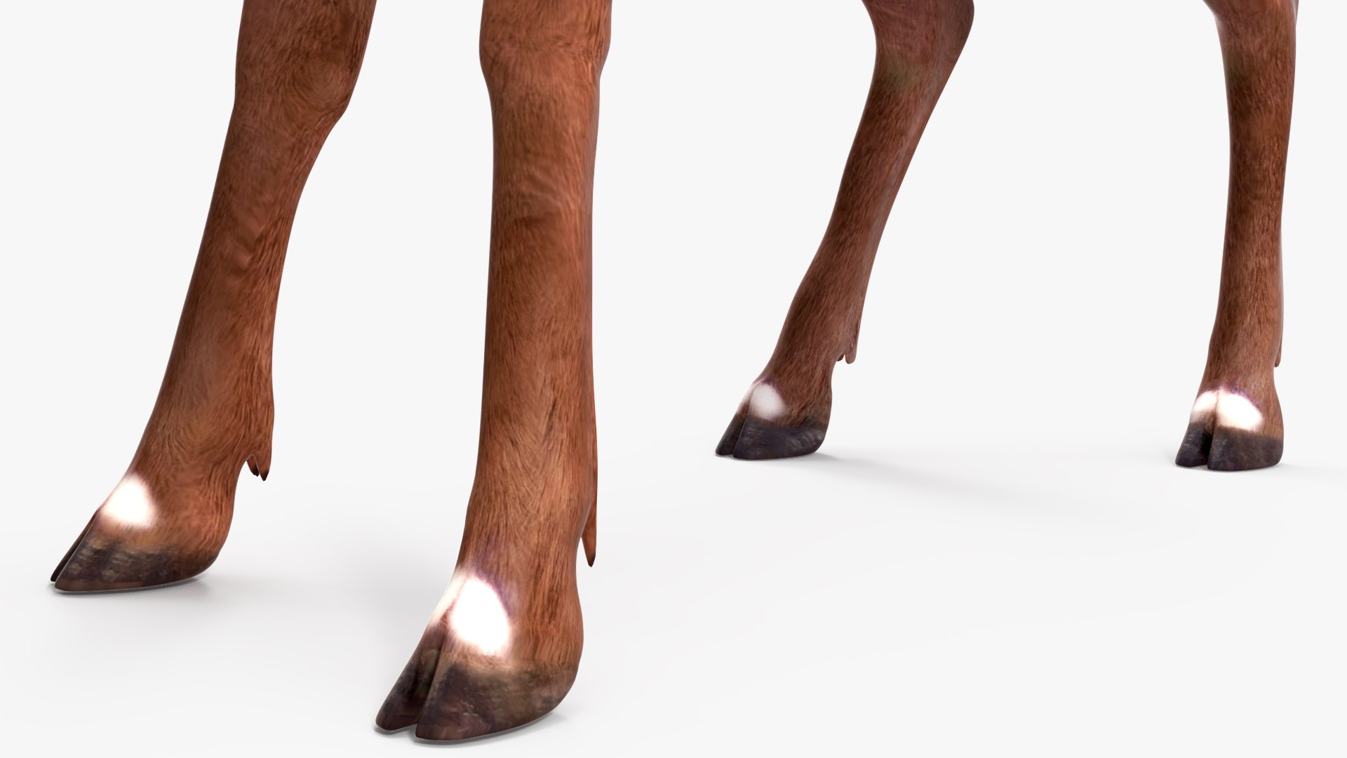 Saola Eating 3D - TurboSquid 2202800