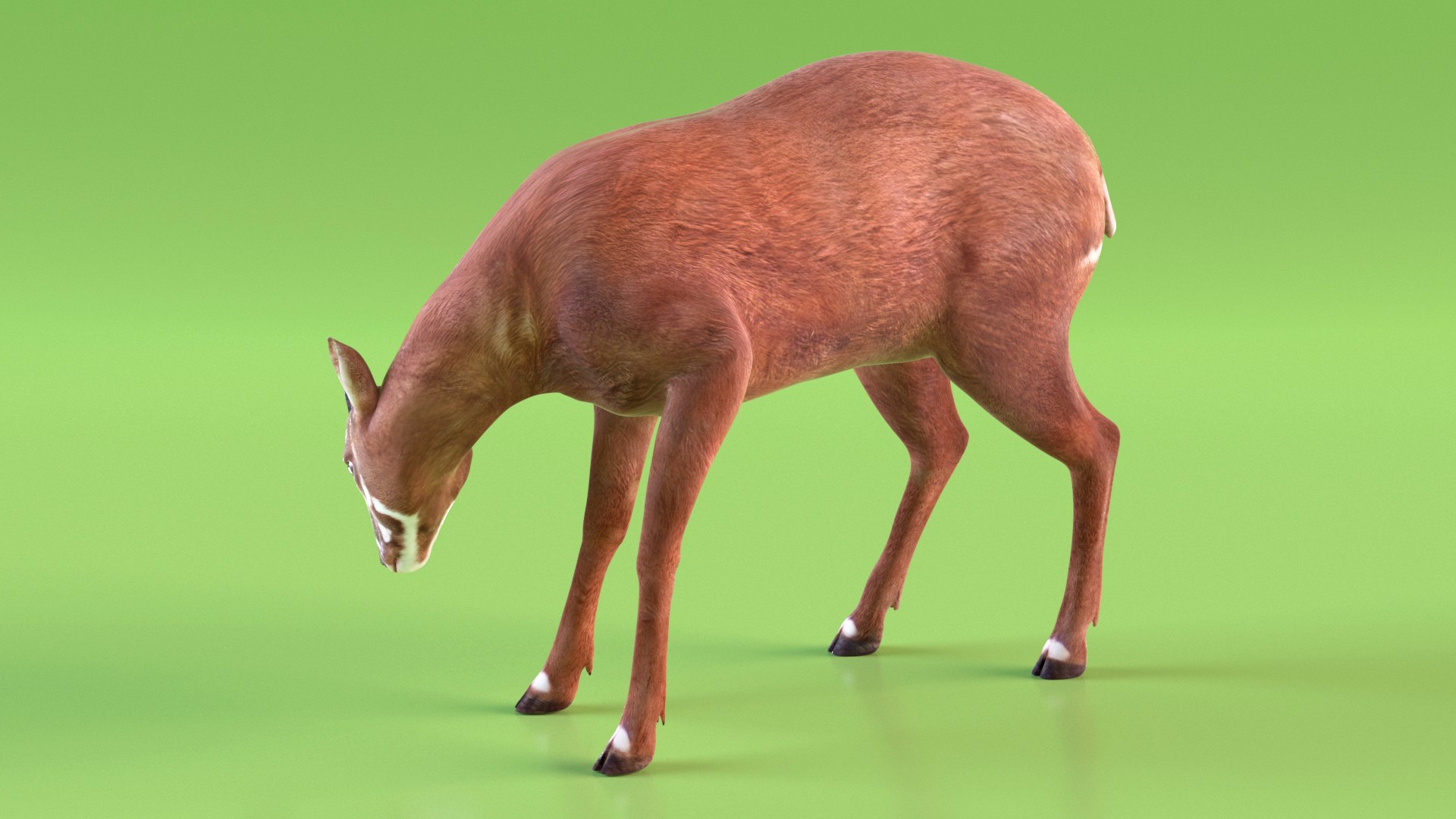 Saola Eating 3D - TurboSquid 2202800
