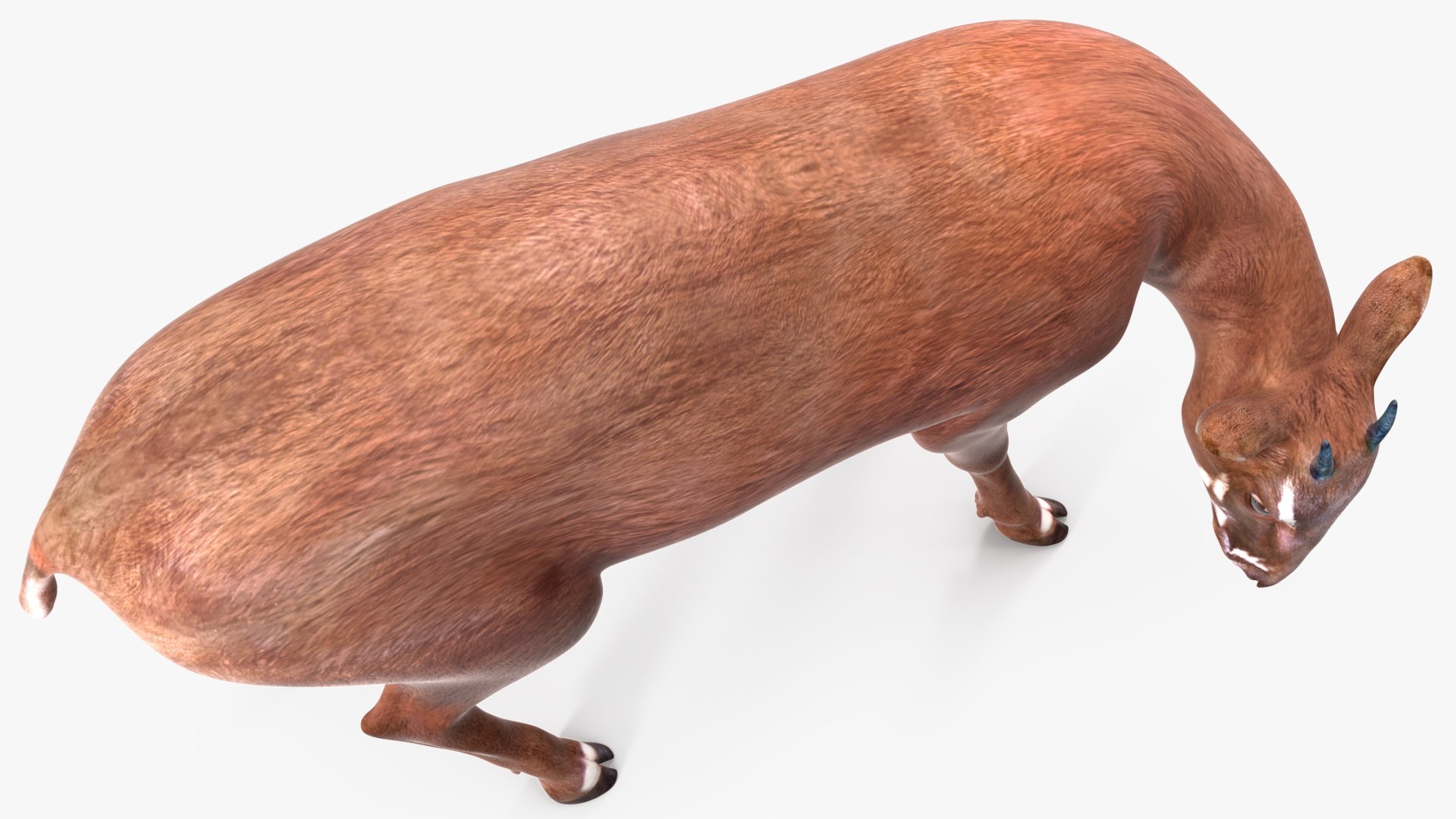 Saola Eating 3D - TurboSquid 2202800