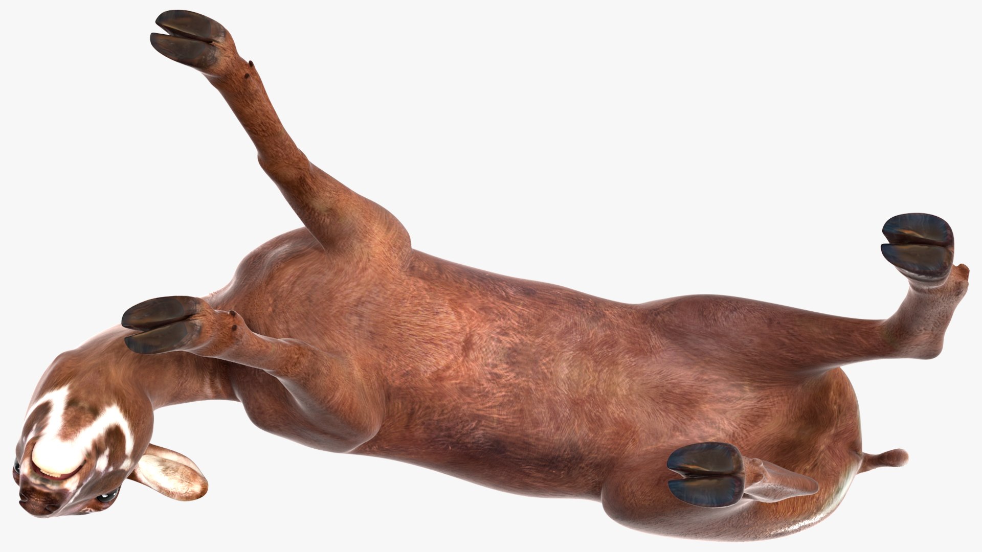 Saola Eating 3D - TurboSquid 2202800