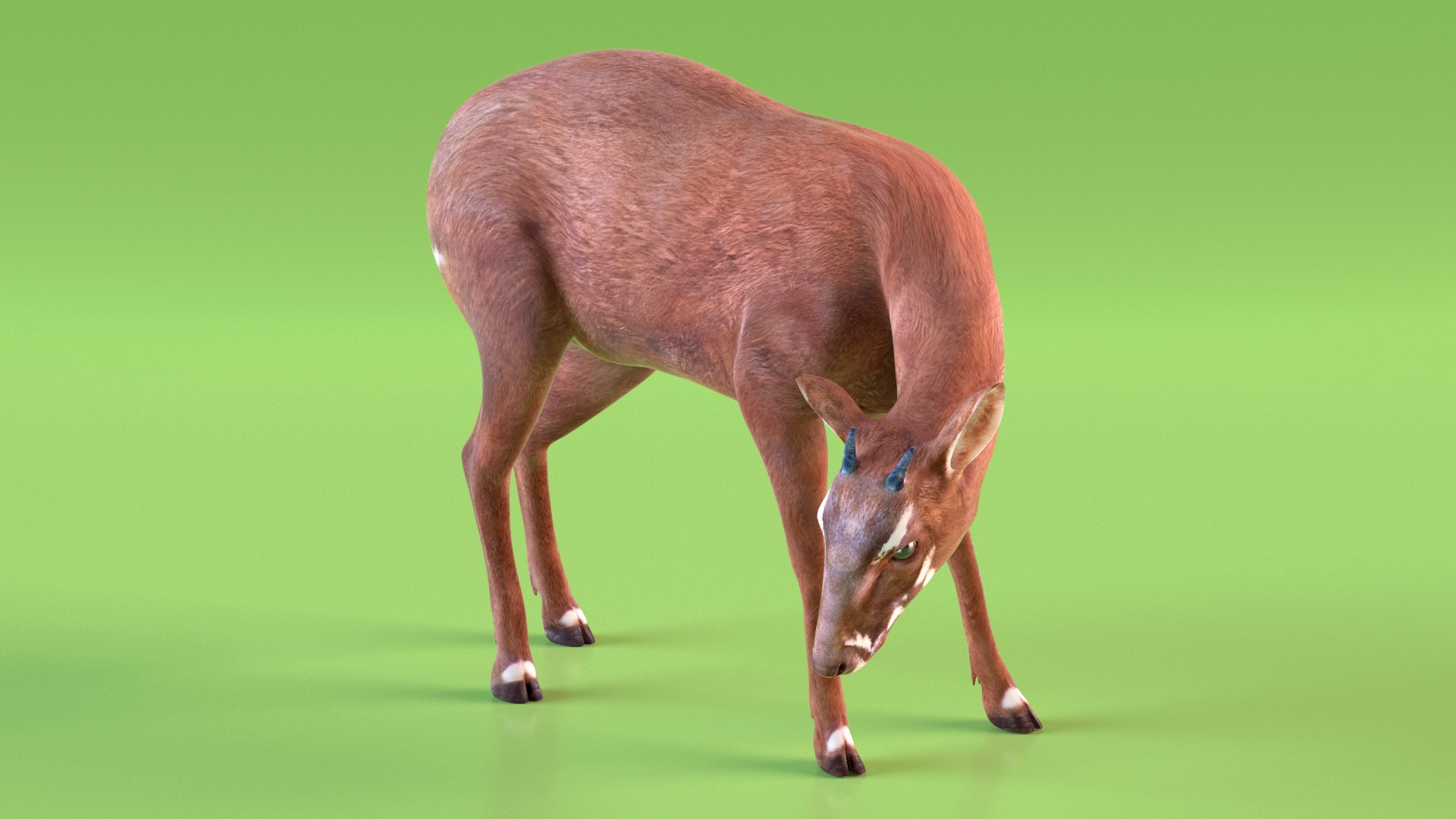 Saola Eating 3D - TurboSquid 2202800