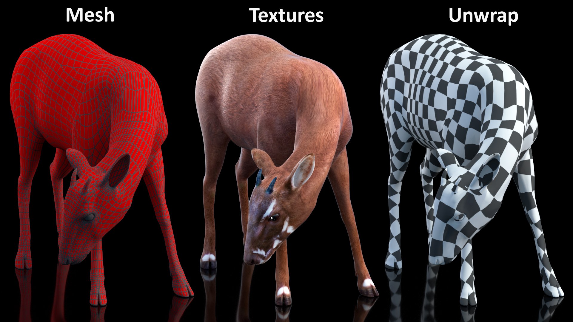 Saola Eating 3D - TurboSquid 2202800