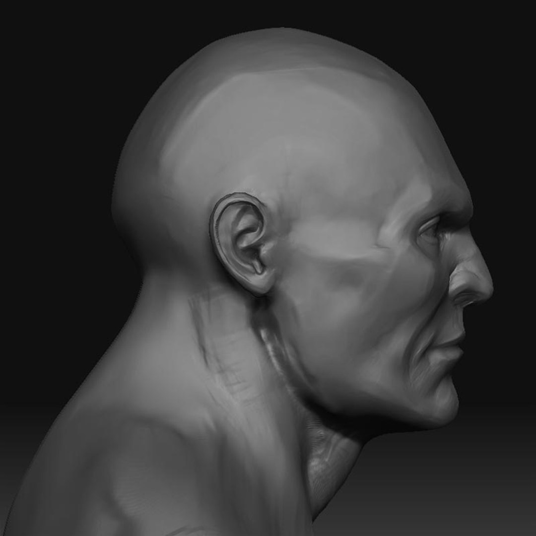male head zbrush 3ds