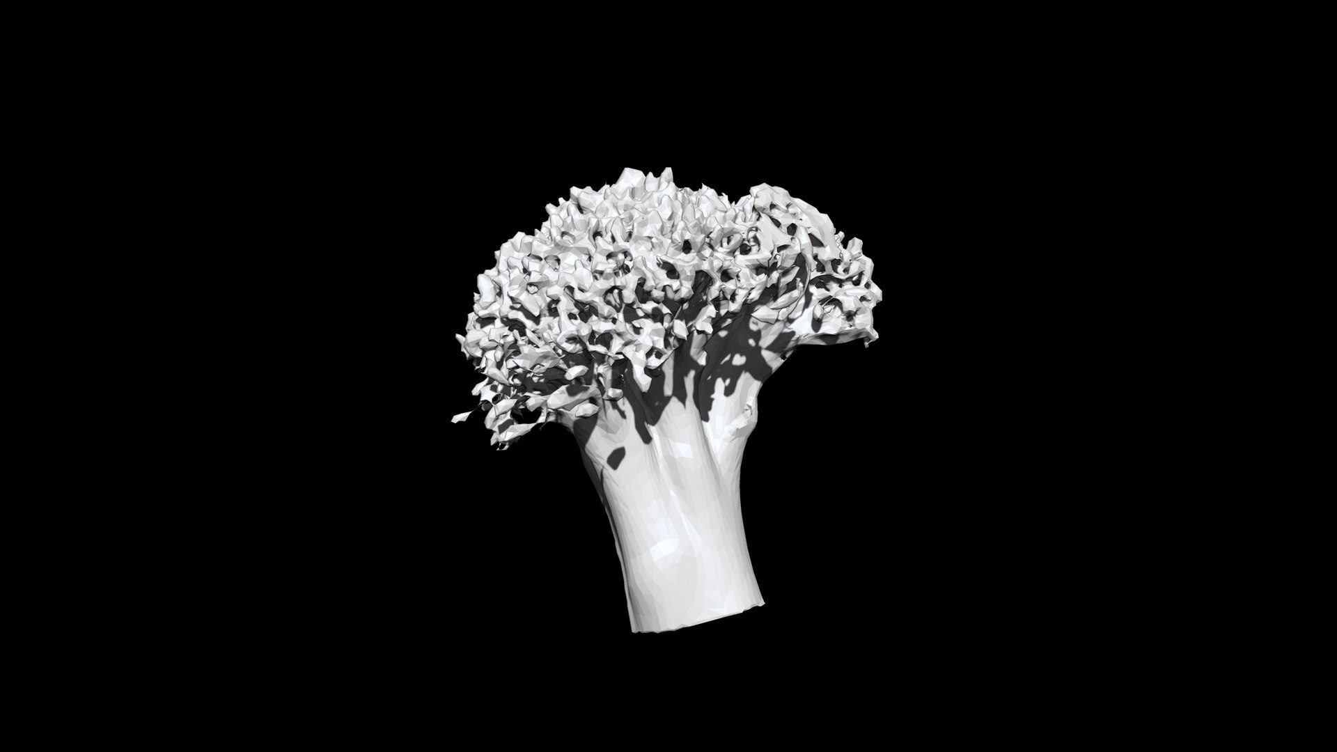 3D Model Broccoli Cut 3D CT Scan Model 6 Decimate 30percent ...