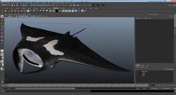 modelo 3d Manta Ray Rigged para Maya - TurboSquid 1106080