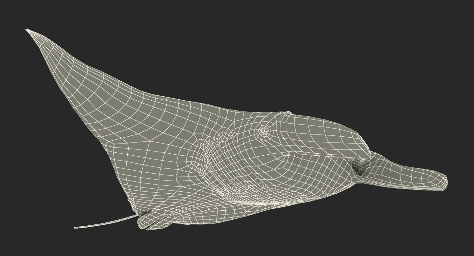 3d Model Manta Rigged