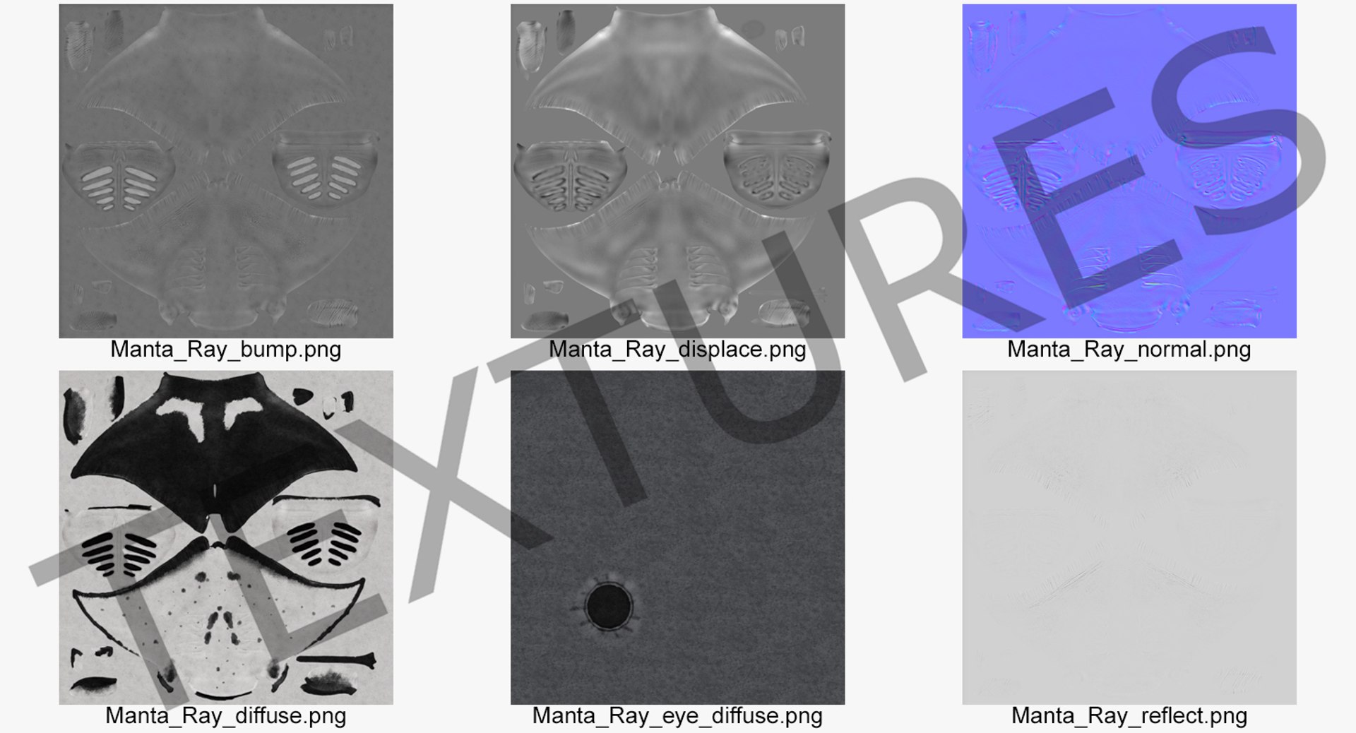 3d Model Manta Rigged