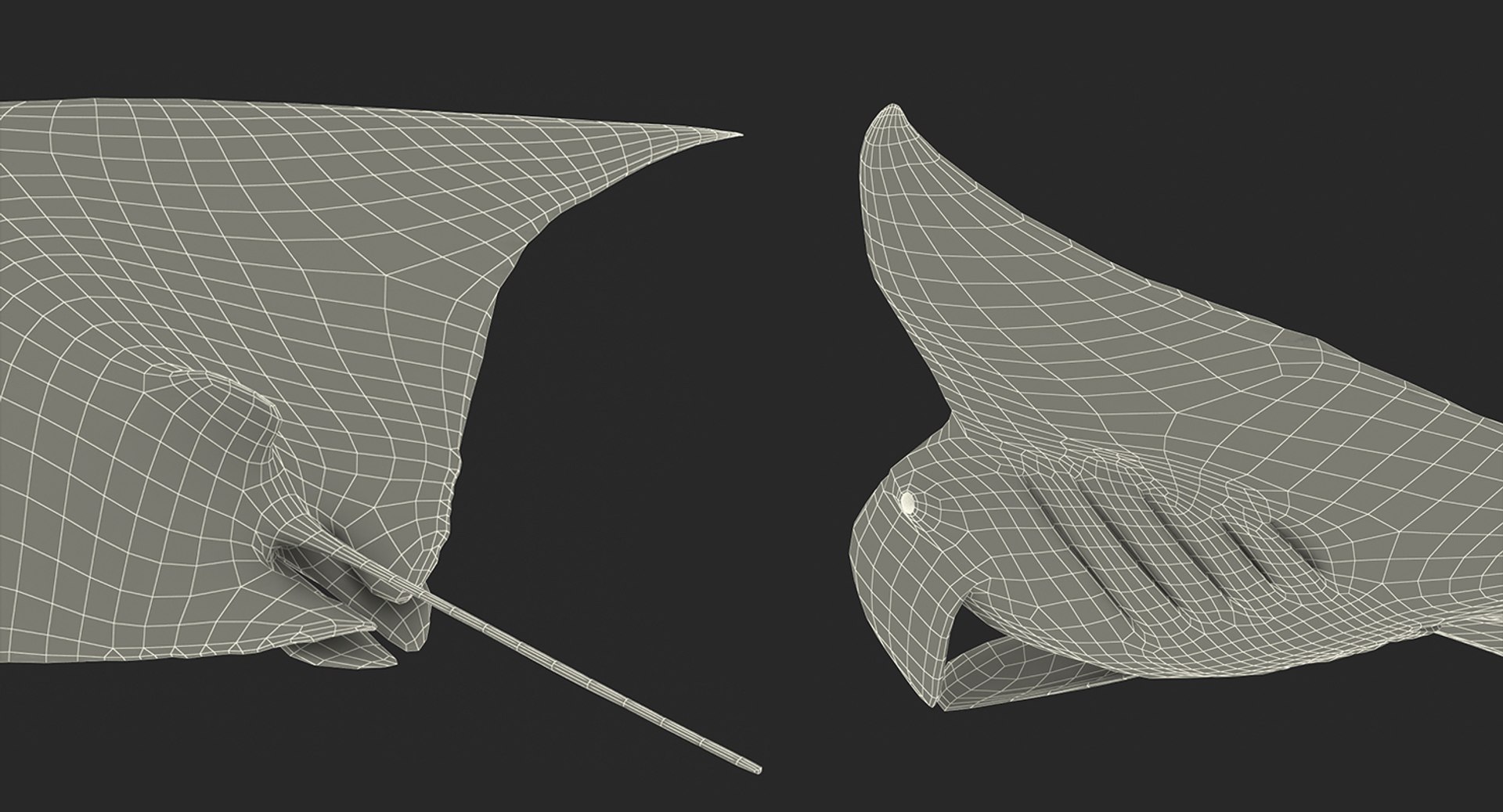 3d Model Manta Rigged
