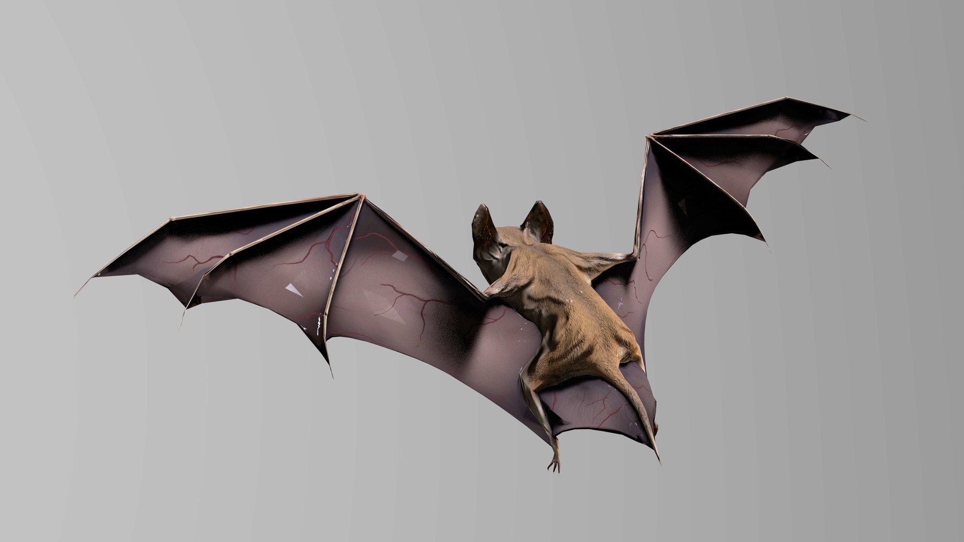 Bat Cloth Wings 3D Model - TurboSquid 1372985