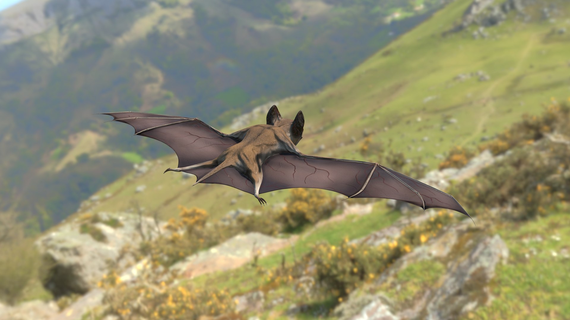 Bat Cloth Wings 3D Model - TurboSquid 1372985