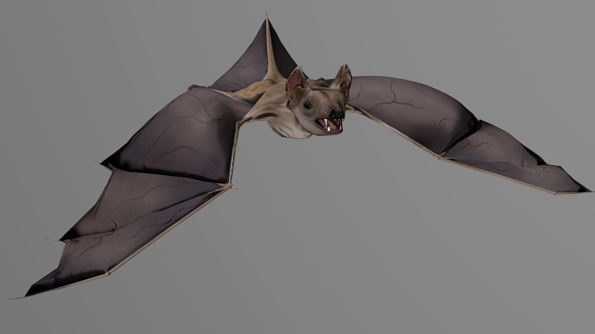 Bat Cloth Wings 3D Model - TurboSquid 1372985