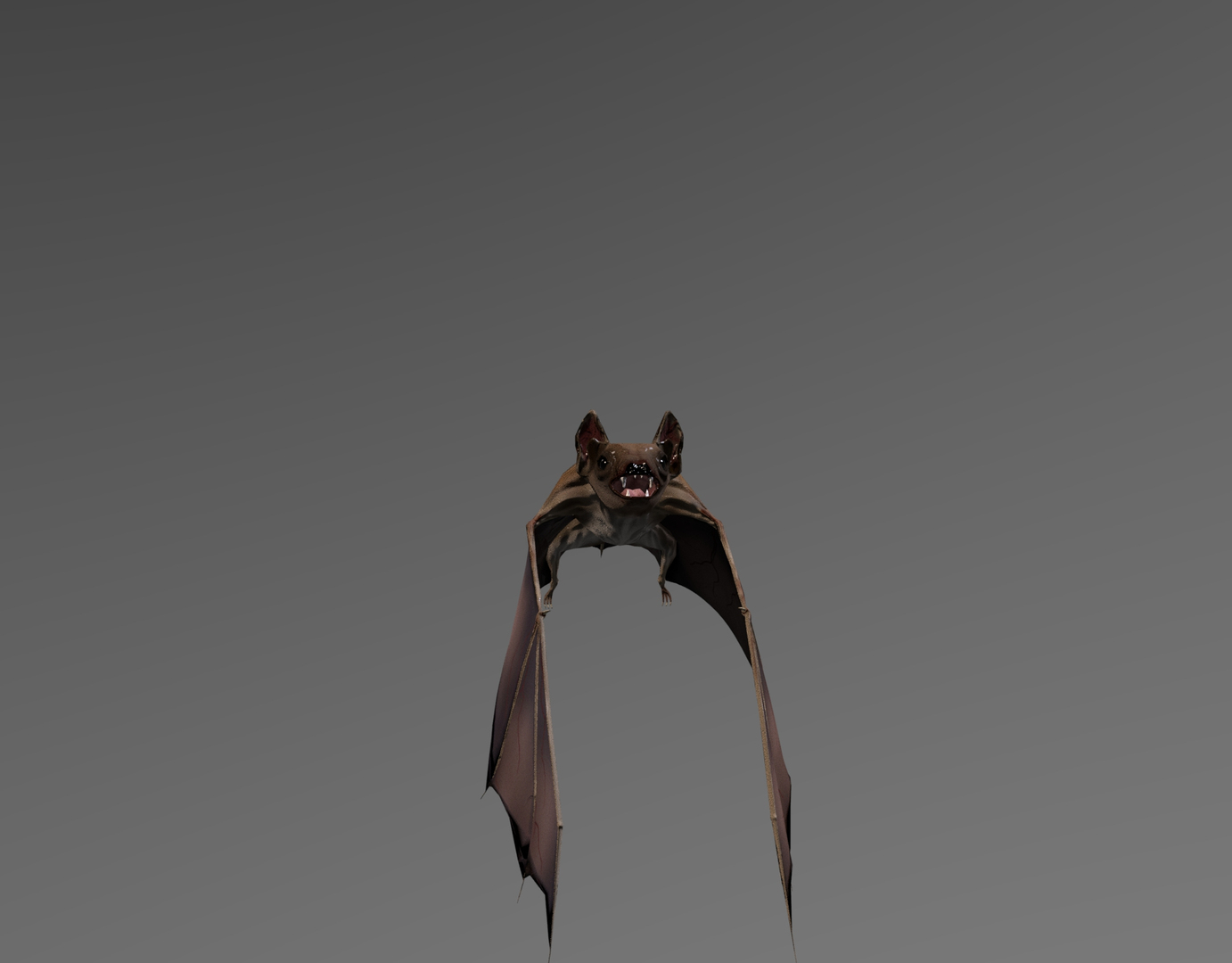 Bat Cloth Wings 3D Model - TurboSquid 1372985