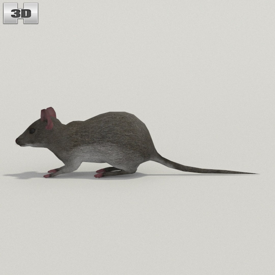 3D model mouse gray - TurboSquid 1153849