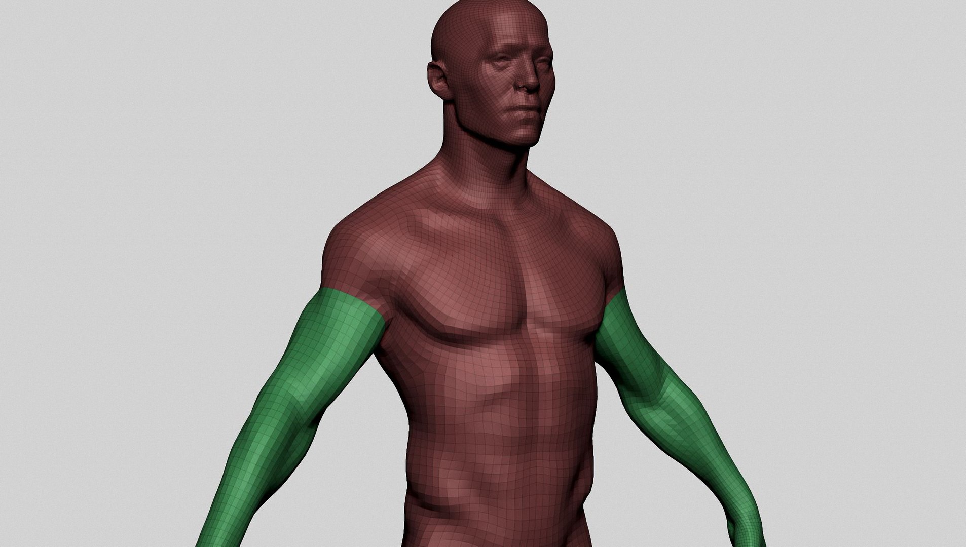 Base Male Anatomy A 3D Model - TurboSquid 1891990