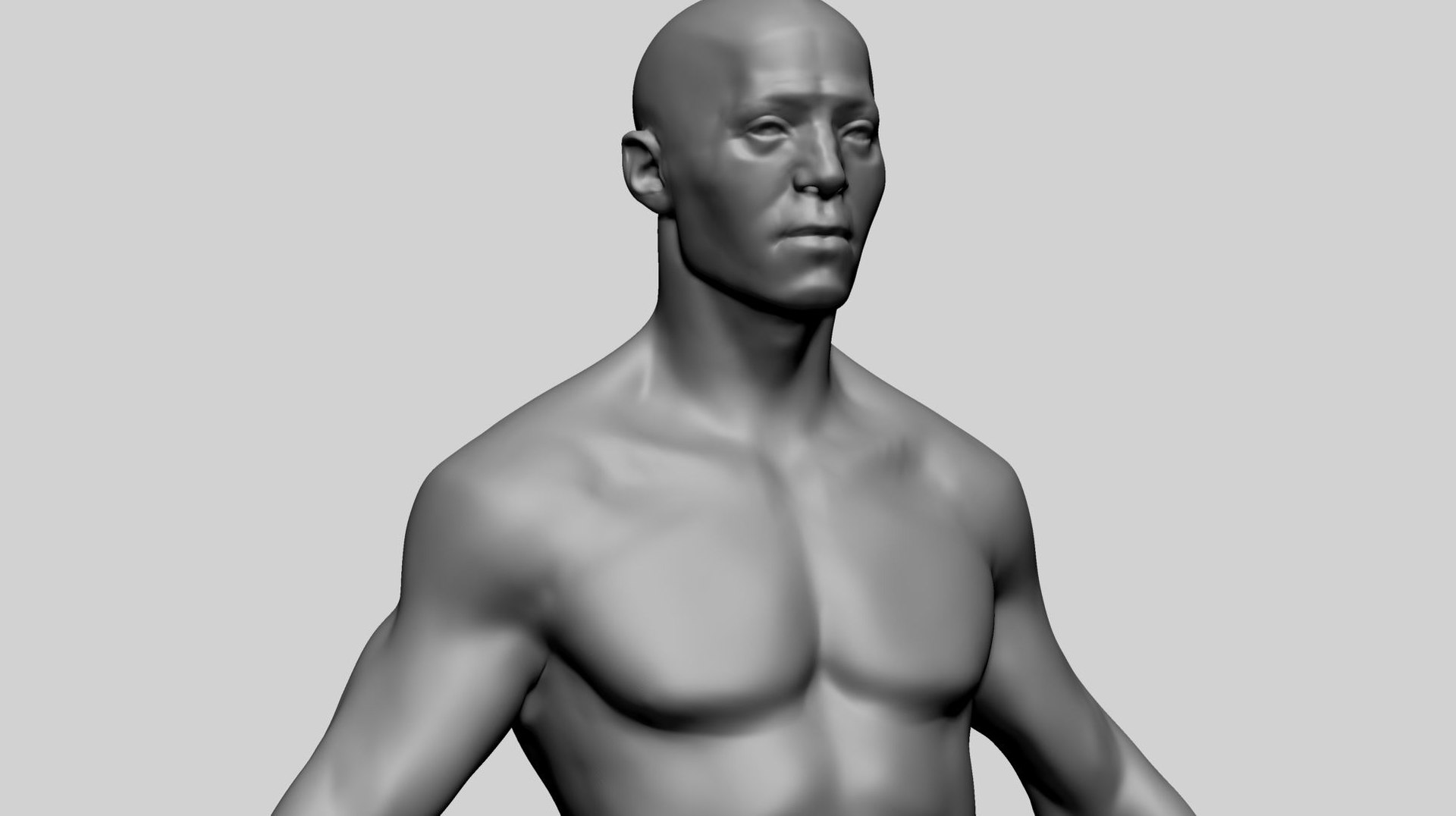 Base Male Anatomy A 3D Model - TurboSquid 1891990