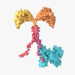 3D Receptor Models - Browse & Download Formats - TurboSquid