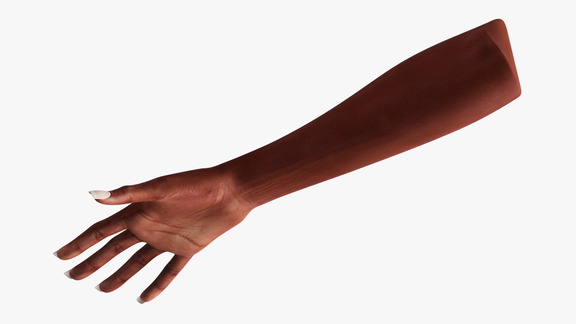 Realistic African American Arm And Hand 3D Model - TurboSquid 2363076