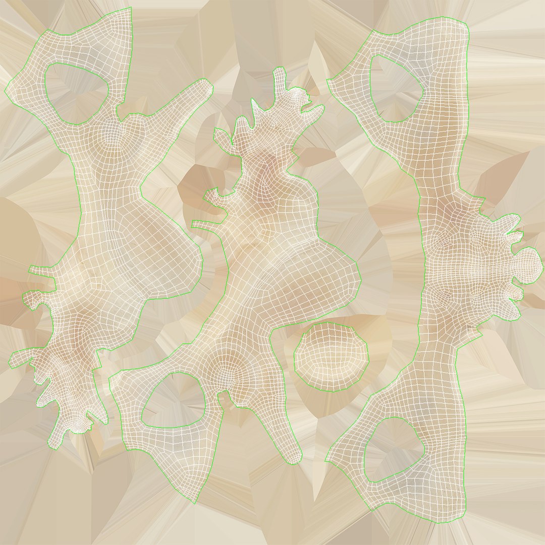 3D South American Coati Nasua Nasua Pelvis and Sacrum Bones 01 ...