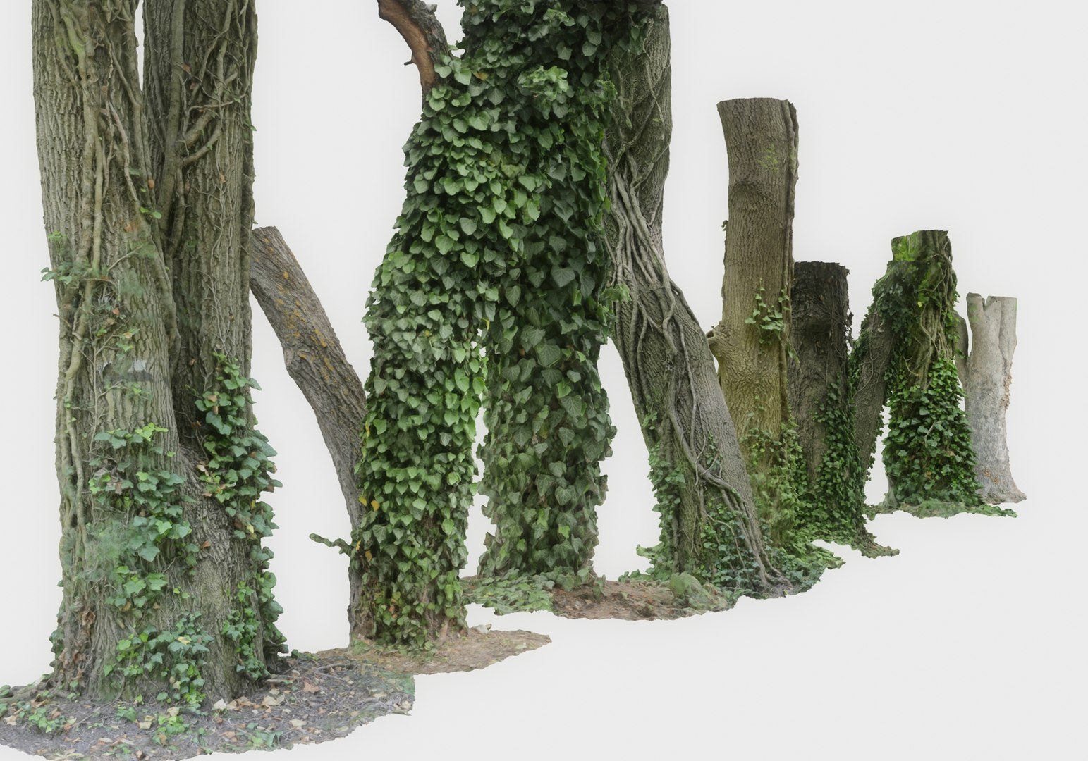 Ivy Trees Pack 9 3D Model - TurboSquid 2083915