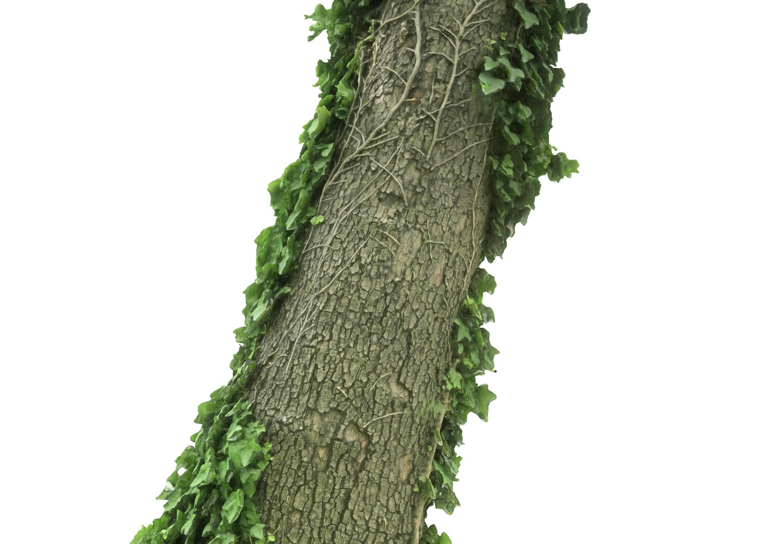 Ivy Trees Pack 9 3D Model - TurboSquid 2083915