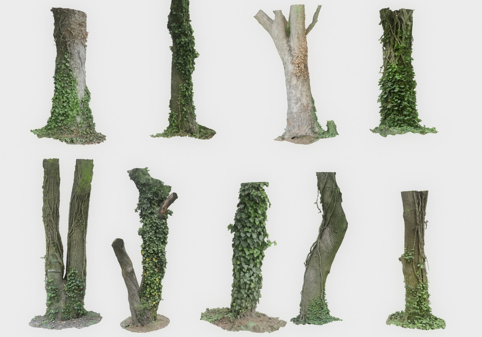 Ivy Trees Pack 9 3D Model - TurboSquid 2083915