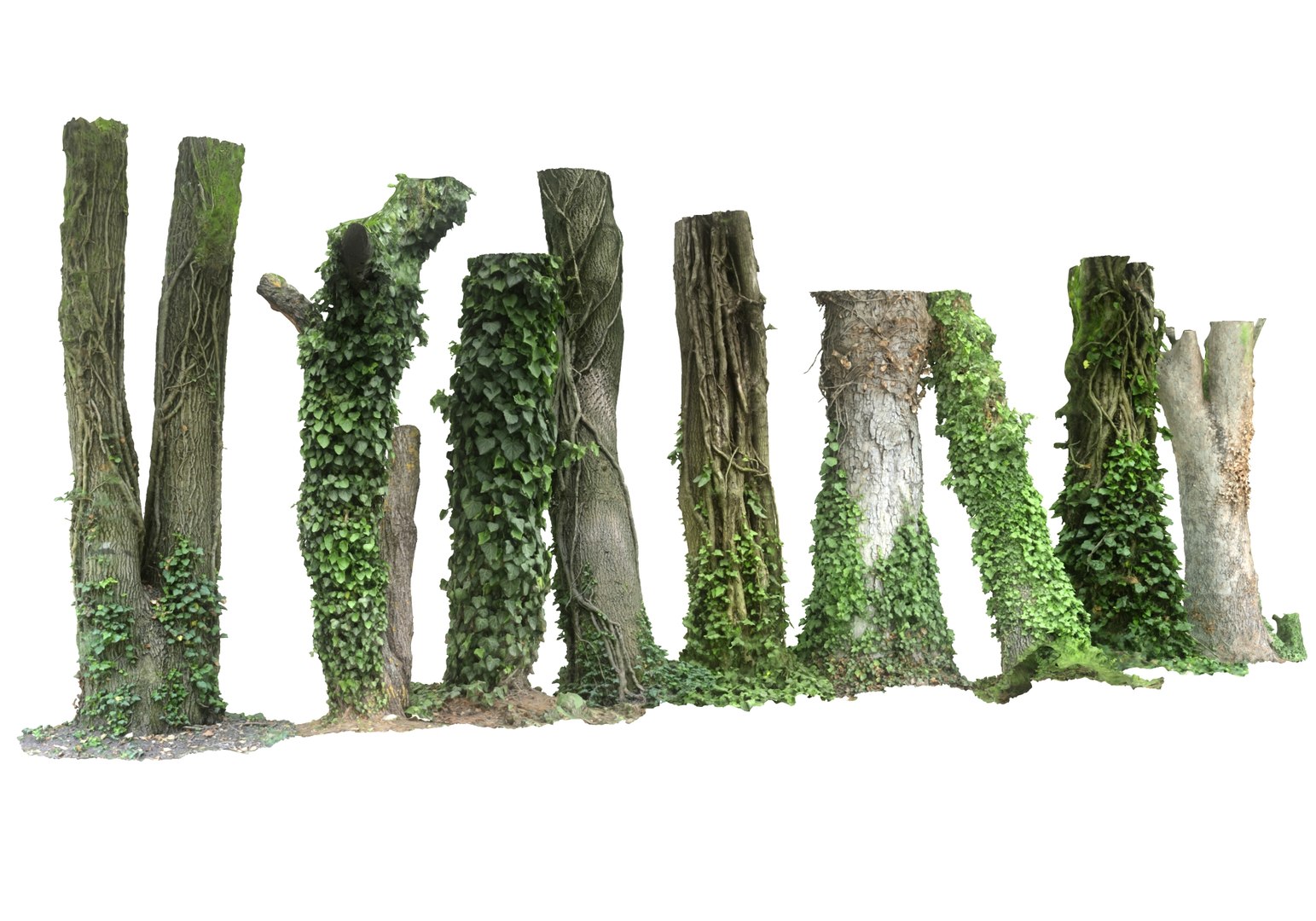 Ivy Trees Pack 9 3D model - TurboSquid 2083915