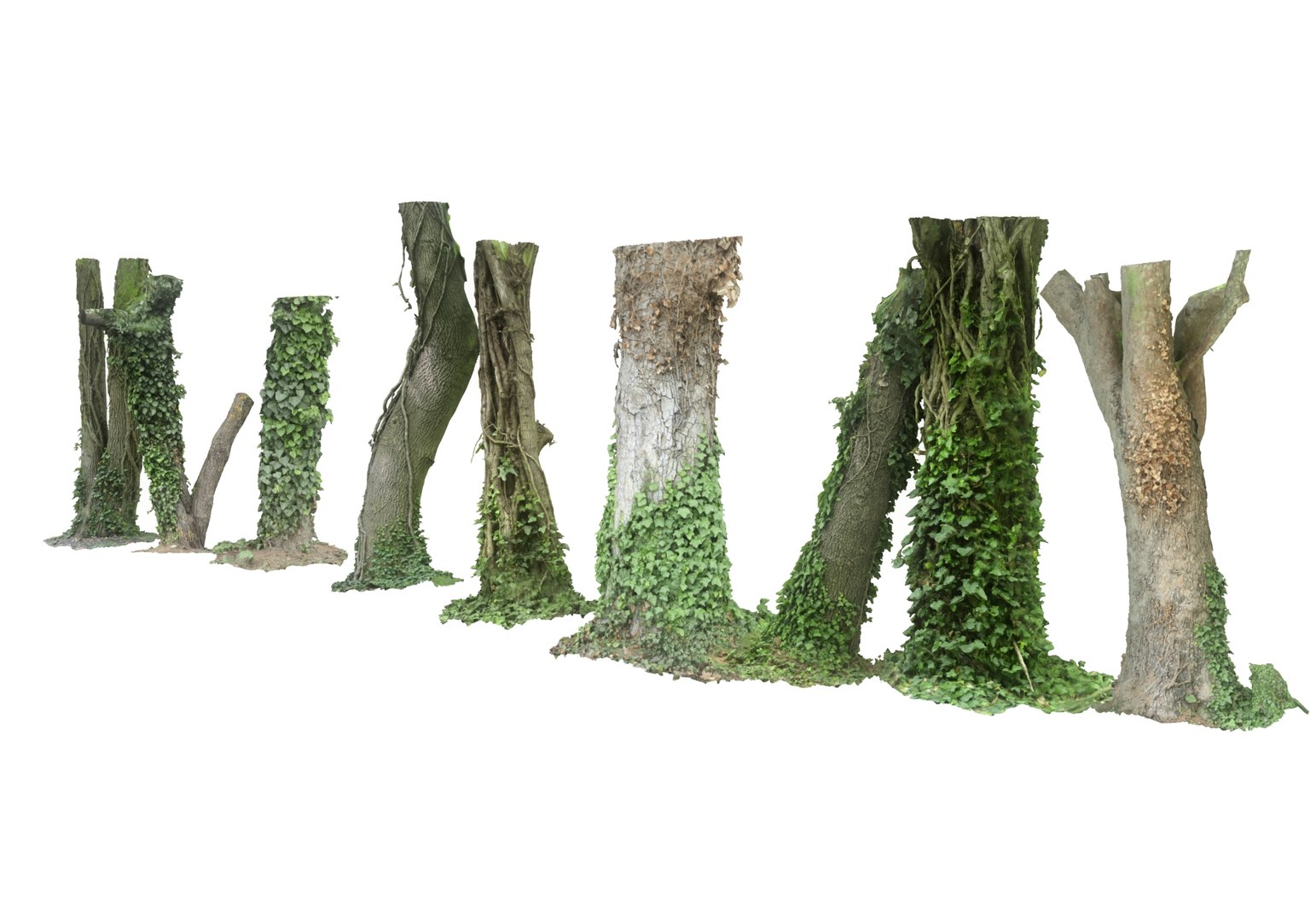 Ivy Trees Pack 9 3D Model - TurboSquid 2083915
