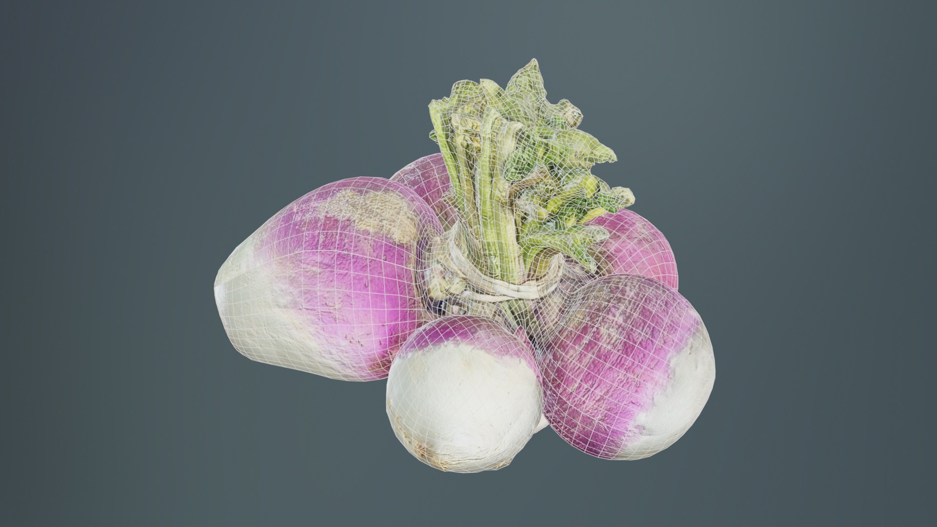 Rapen Remastered 3D - TurboSquid 2362464