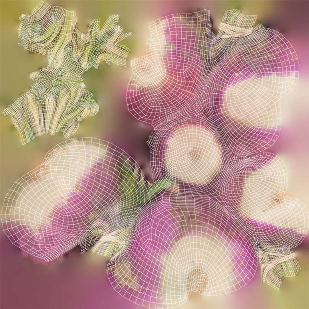 Rapen Remastered 3D - TurboSquid 2362464
