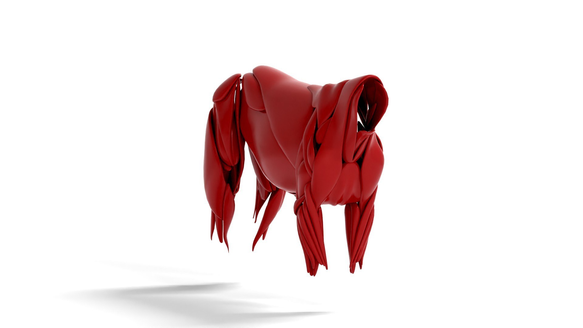 Lion Muscles With Skeleton Model - TurboSquid 2115266