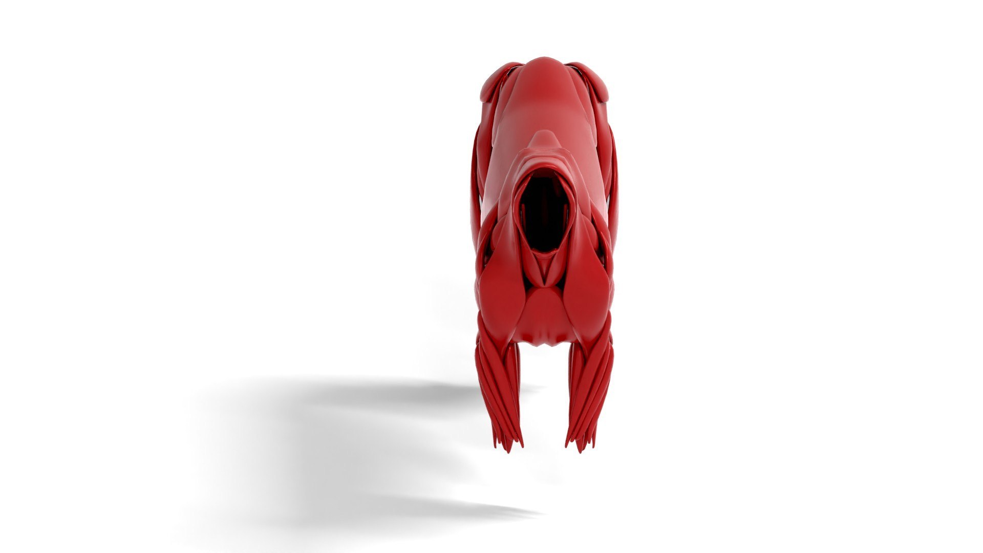 Lion Muscles With Skeleton Model - TurboSquid 2115266