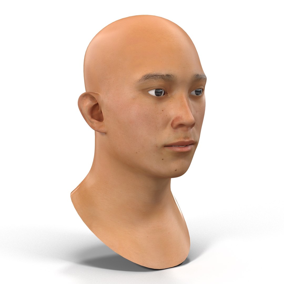 3ds asian male head