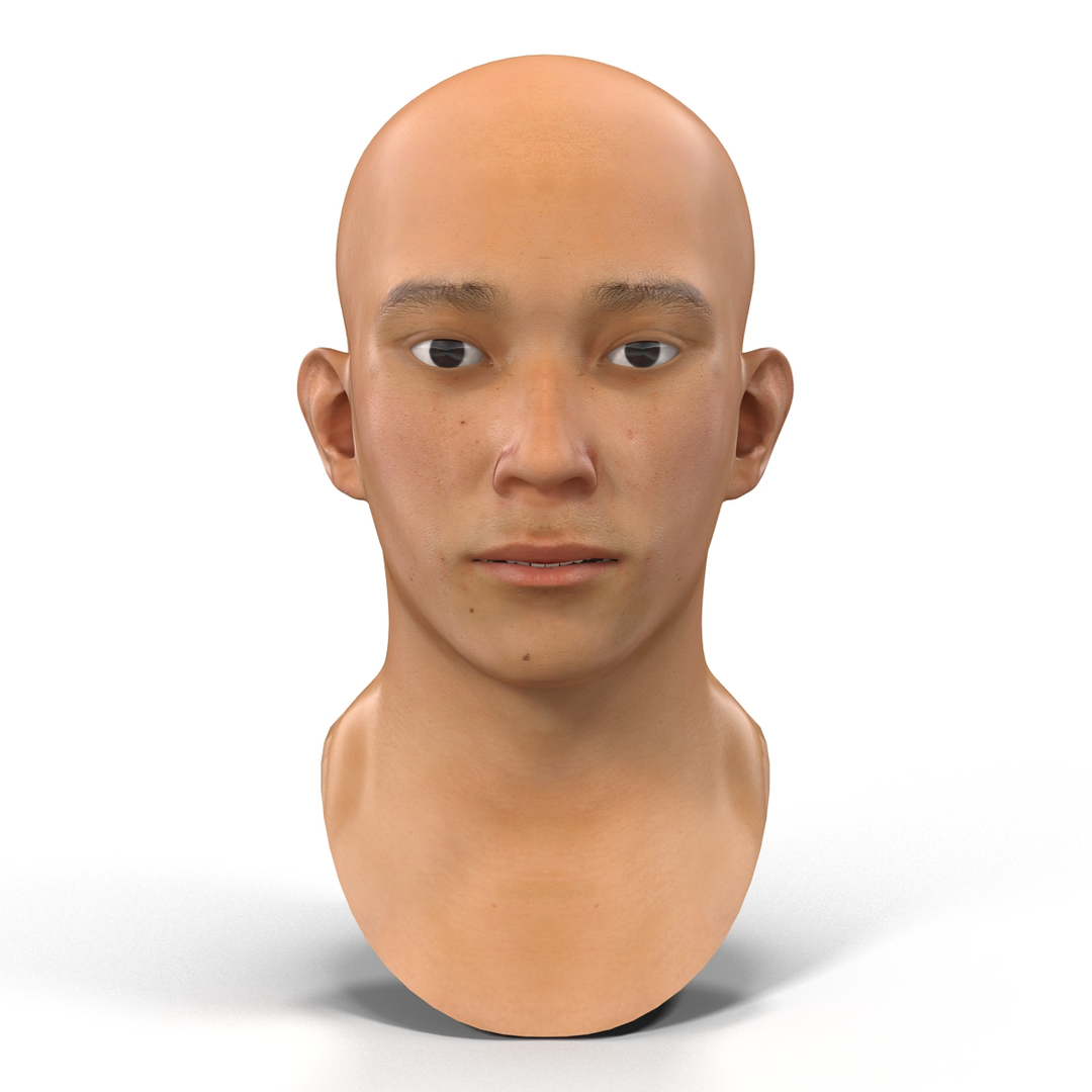 3ds asian male head