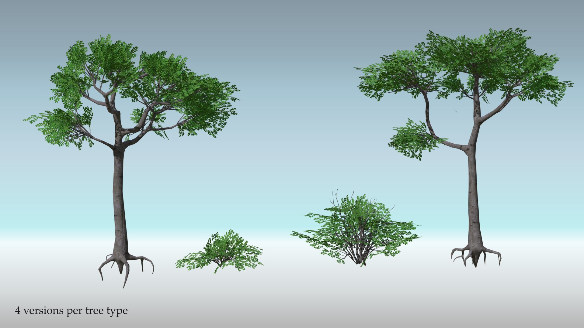 3D Trees Collection 01 - North European Forest Model - TurboSquid 2184330