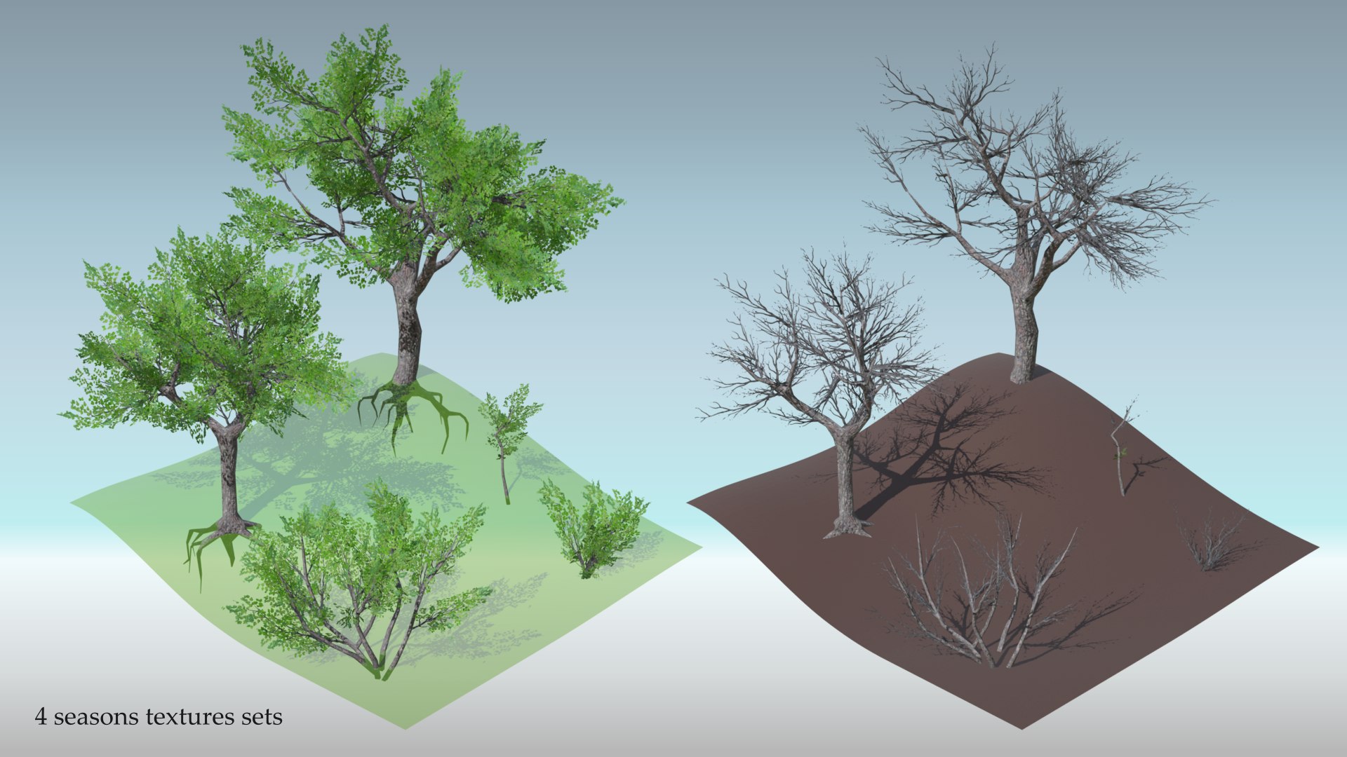 3D Trees Collection 01 - North European Forest Model - TurboSquid 2184330