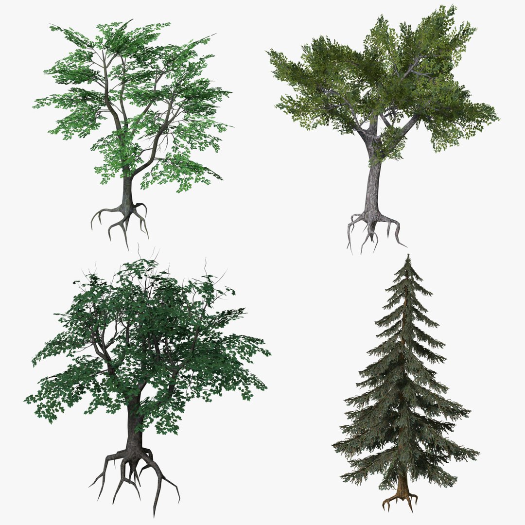 3D Trees Collection 01 - North European Forest Model - TurboSquid 2184330