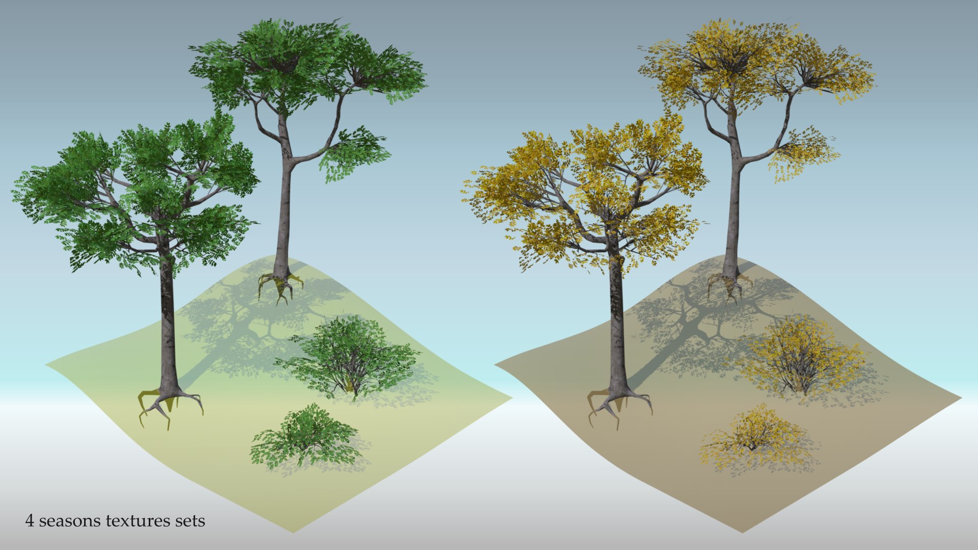 3D Trees Collection 01 - North European Forest Model - TurboSquid 2184330