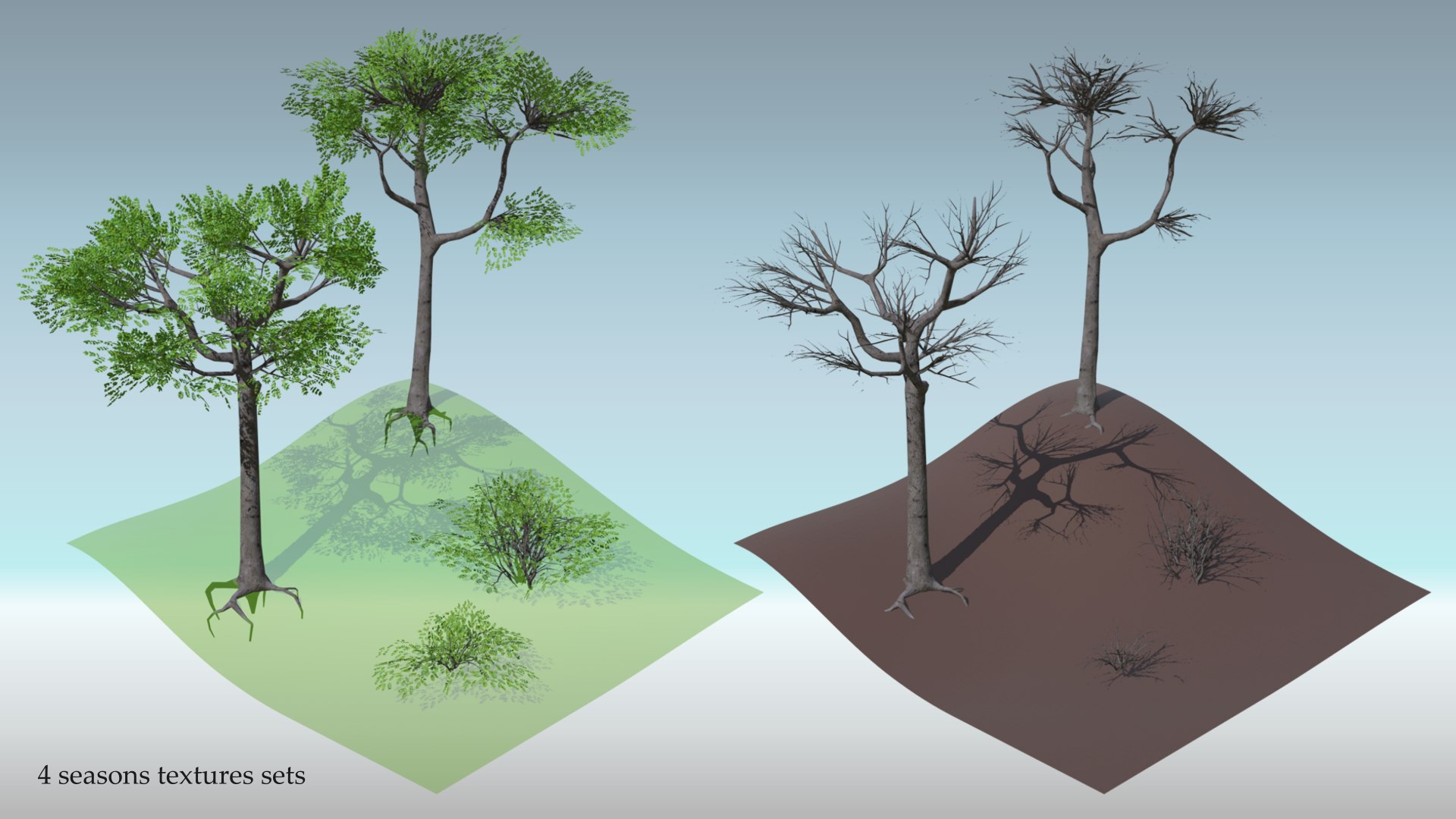 3D Trees Collection 01 - North European Forest Model - TurboSquid 2184330