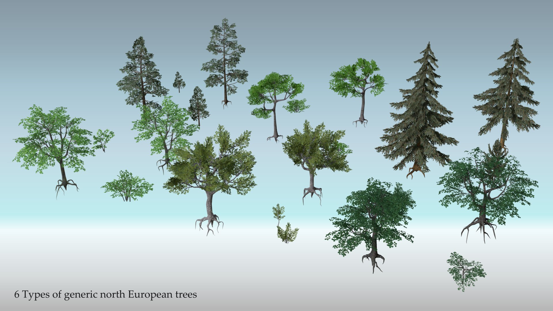 3D Trees Collection 01 - North European Forest Model - TurboSquid 2184330