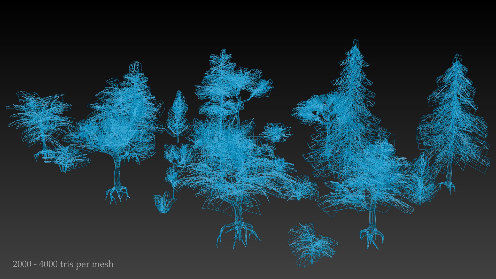 3D Trees Collection 01 - North European Forest Model - TurboSquid 2184330