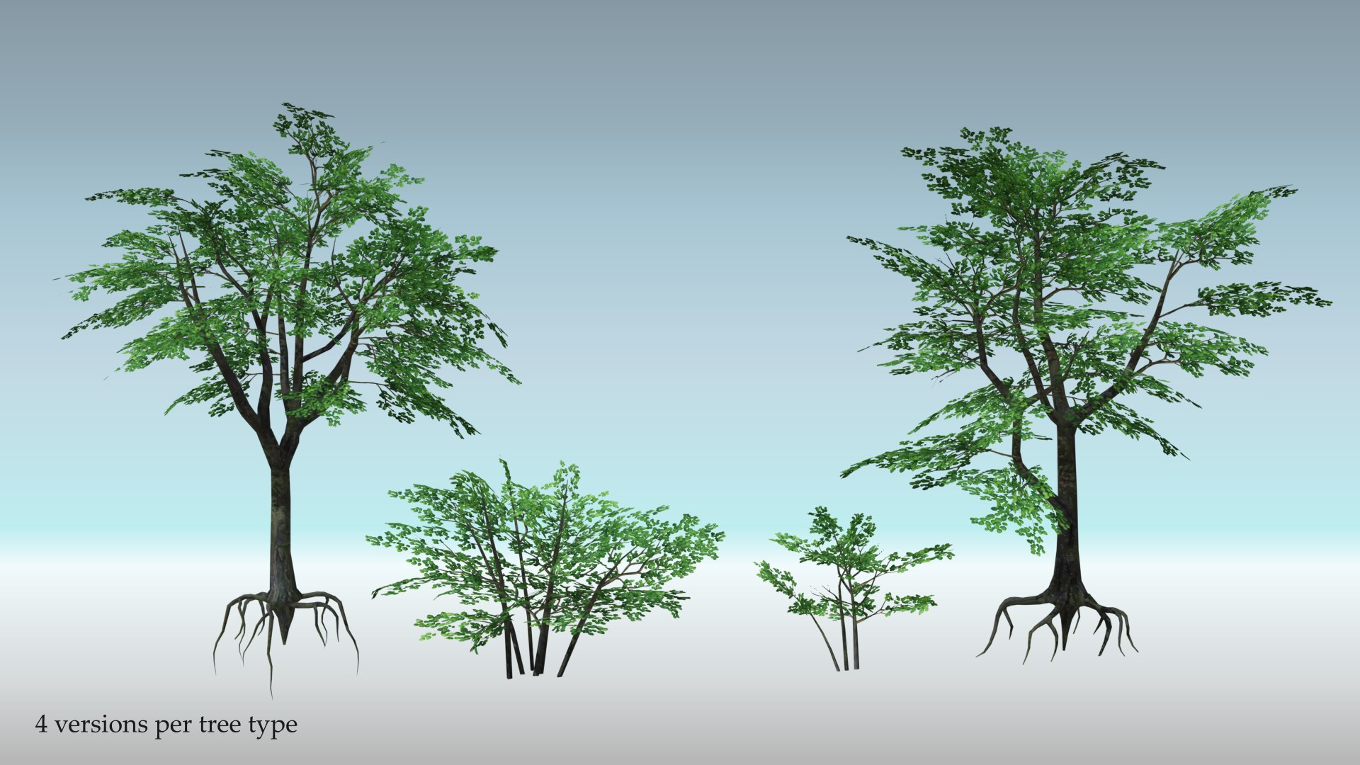 3D Trees Collection 01 - North European Forest Model - TurboSquid 2184330