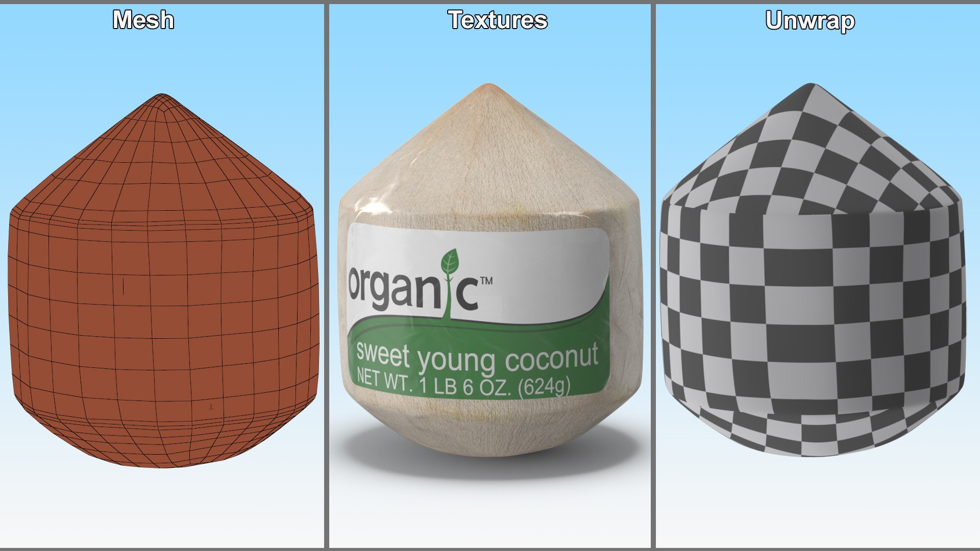 Fresh Shelled Coconut Pack Organic 3D - TurboSquid 2212195